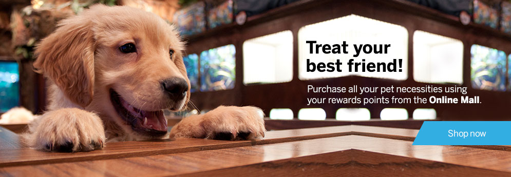 Standard Bank UCount | Rewards Program